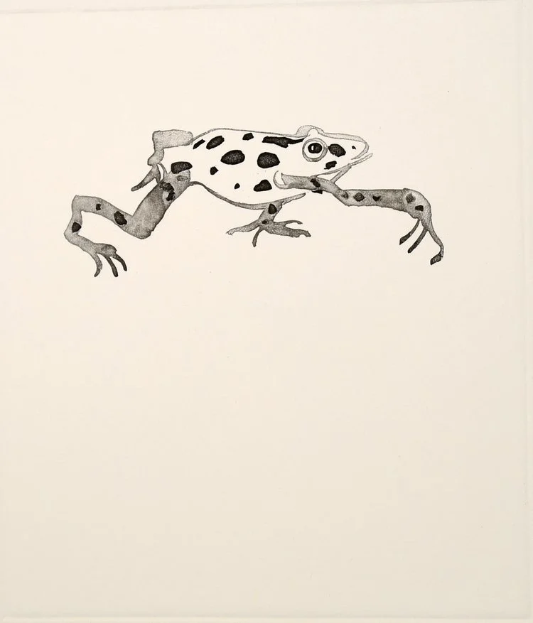 CICADA PRESS