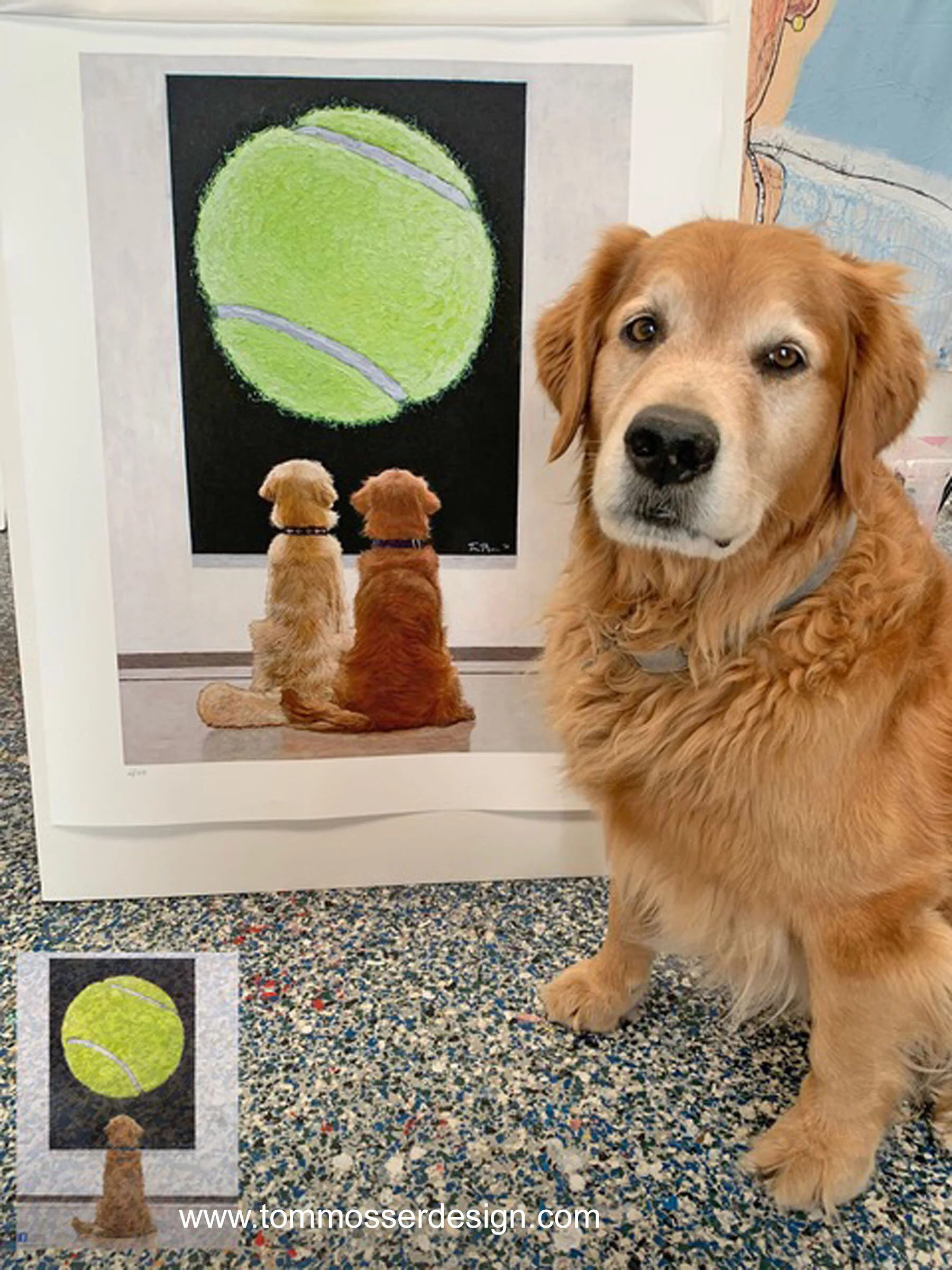 Museum Series — Tom Mosser Design