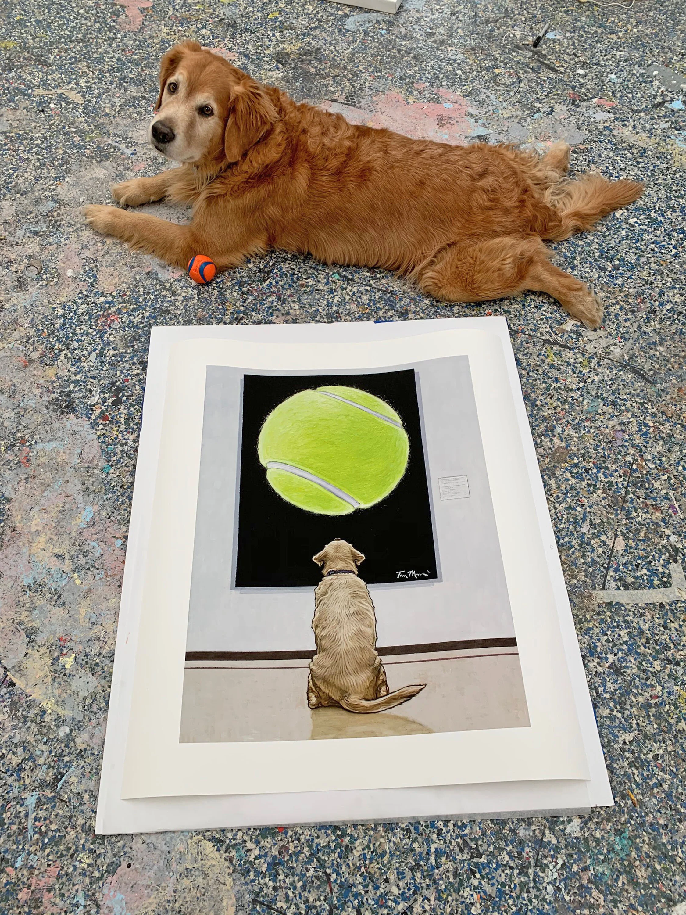 Museum Series — Tom Mosser Design