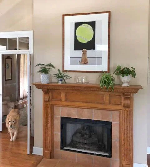 Museum Series and "Celebrating Spencer" prints — The Lucas Paw Inc.