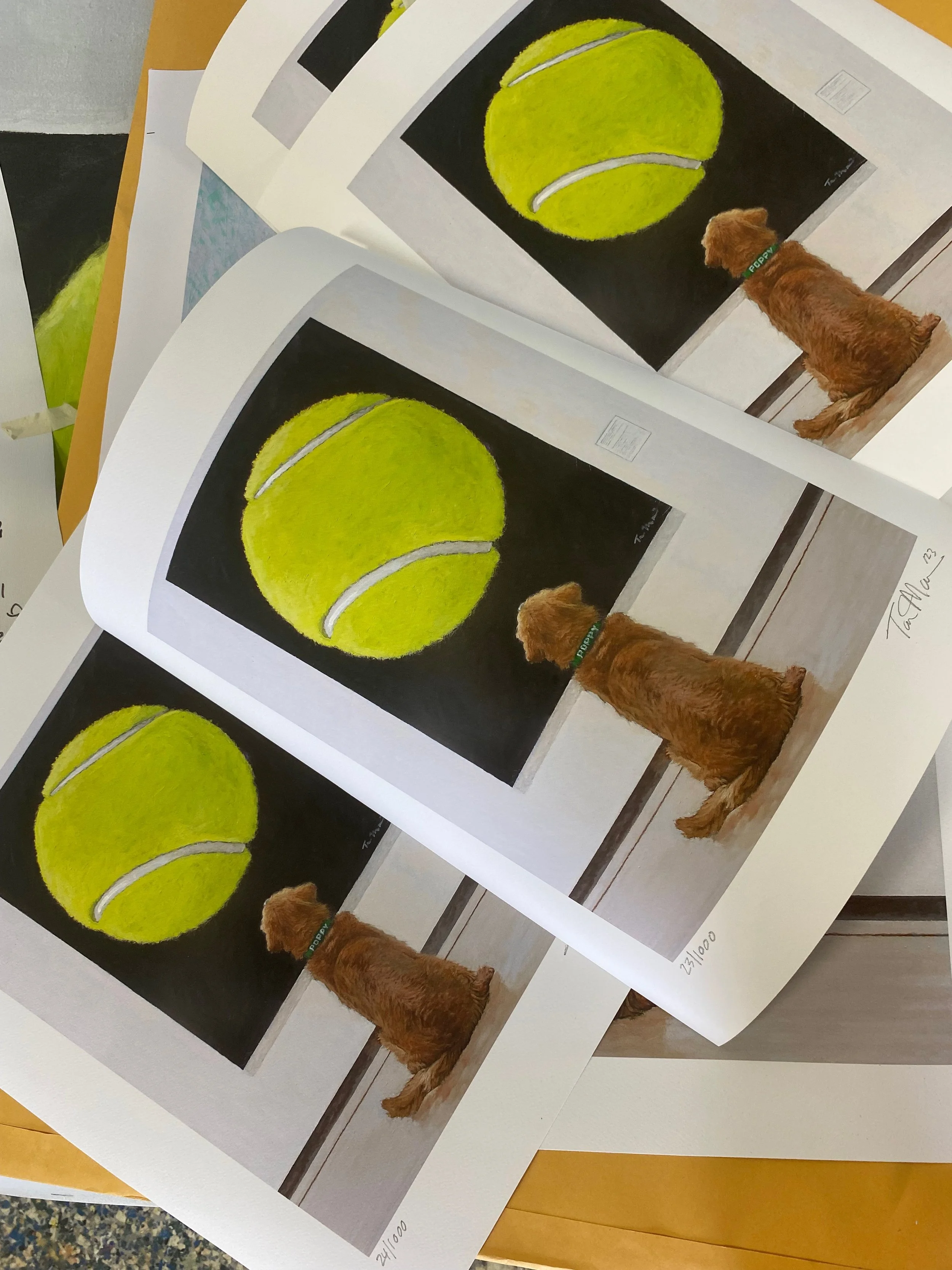 Museum Series and "Celebrating Spencer" prints — The Lucas Paw Inc.