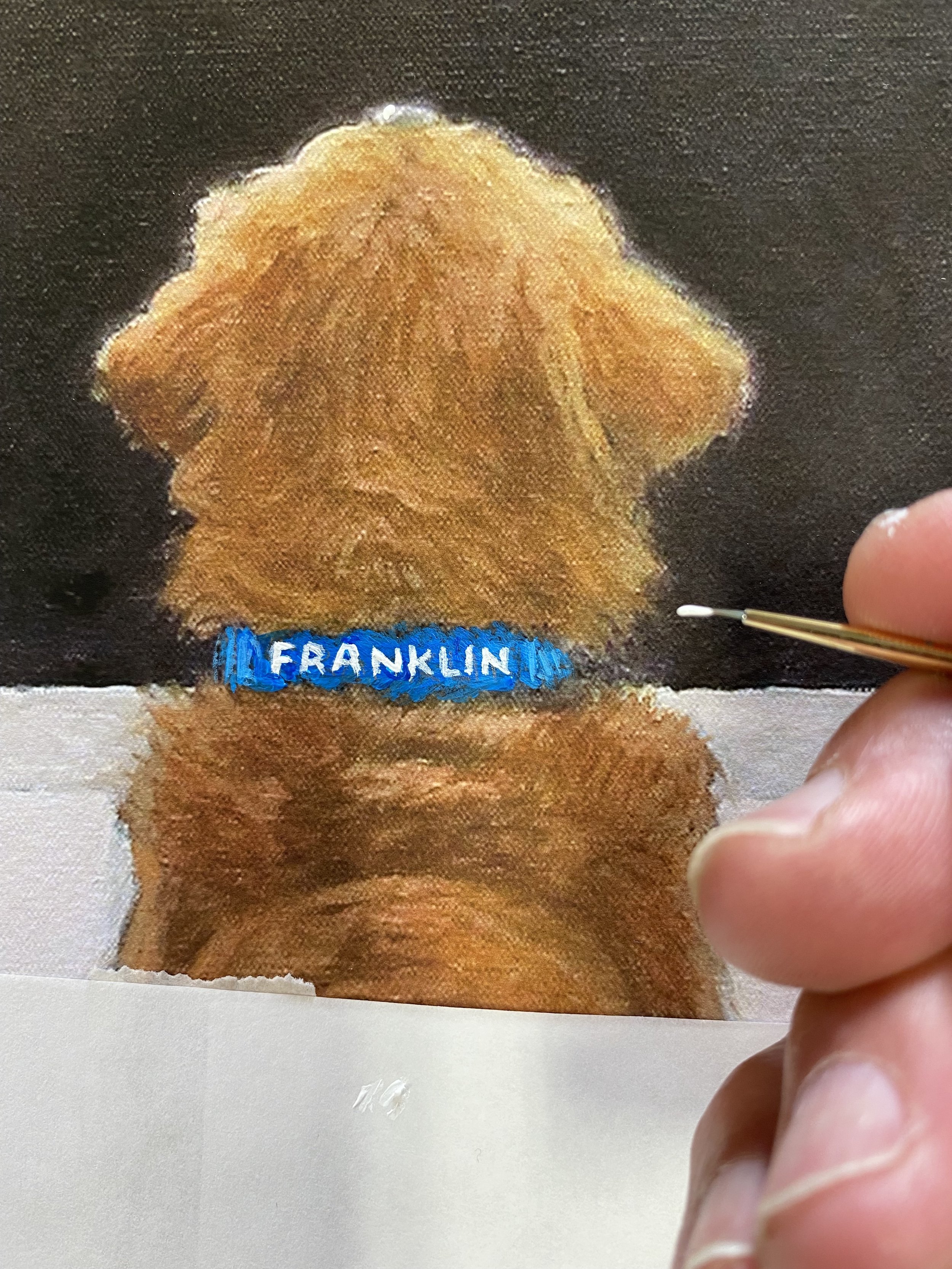 Museum Series and "Celebrating Spencer" prints — The Lucas Paw Inc.