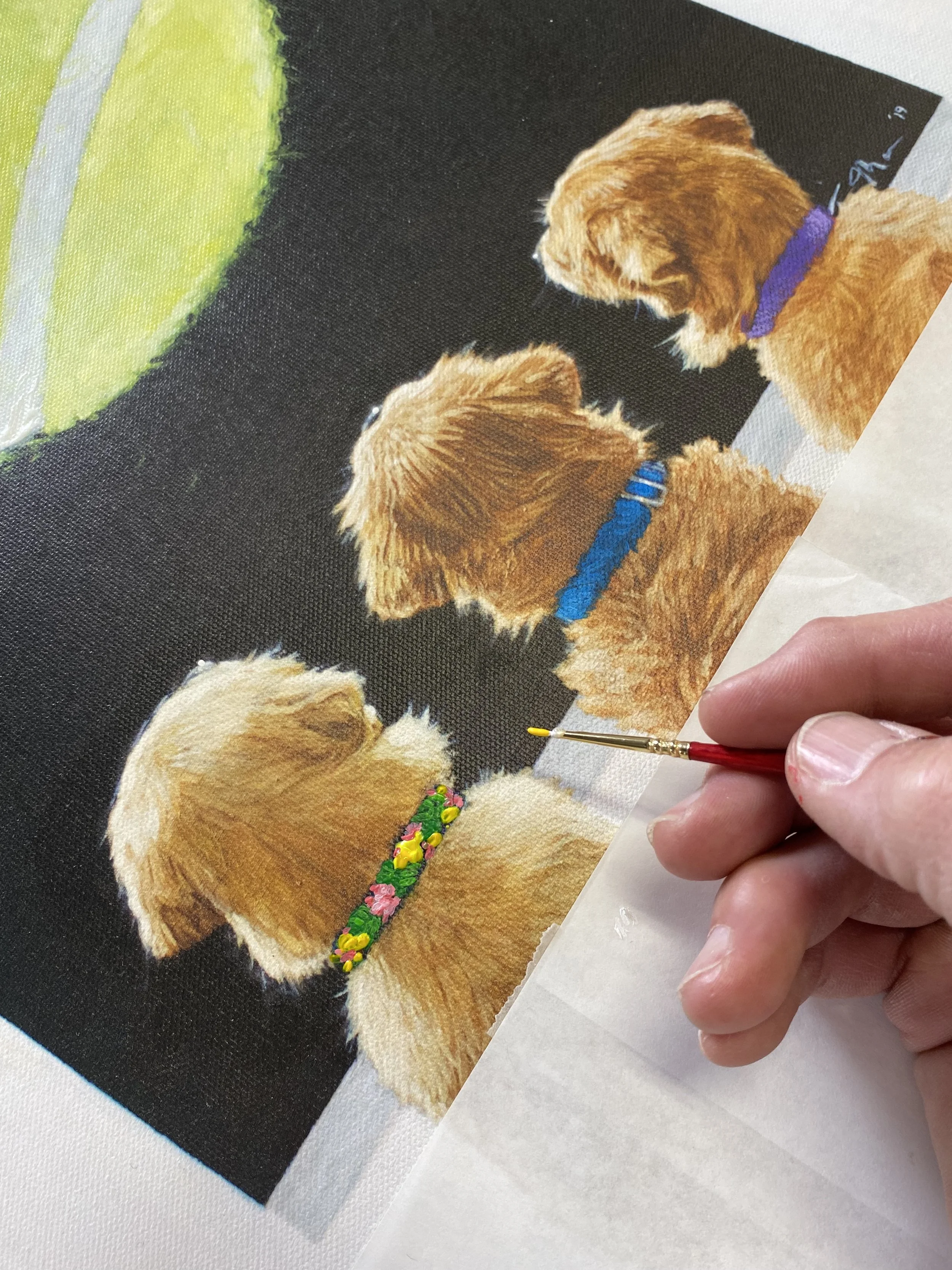 Museum Series and "Celebrating Spencer" prints — The Lucas Paw Inc.