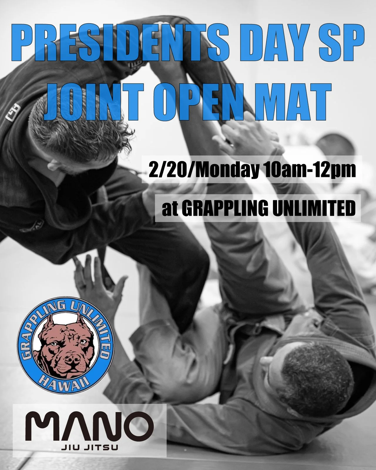 MANO JIU JITSU