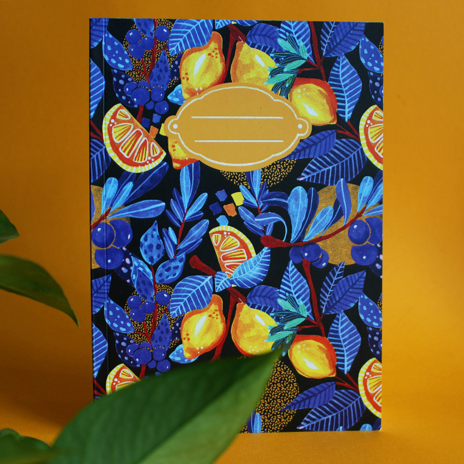 SHOP - QUIRKY UNIQUE GIFTS — ANCA PORA ILLUSTRATION