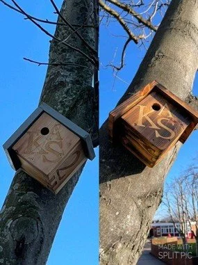 Design and Technology — The King Alfred School