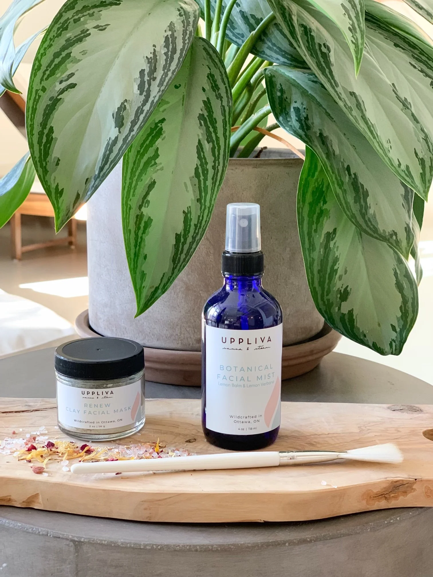 Shop Uppliva — UPPLIVA SAUNA & STEAM