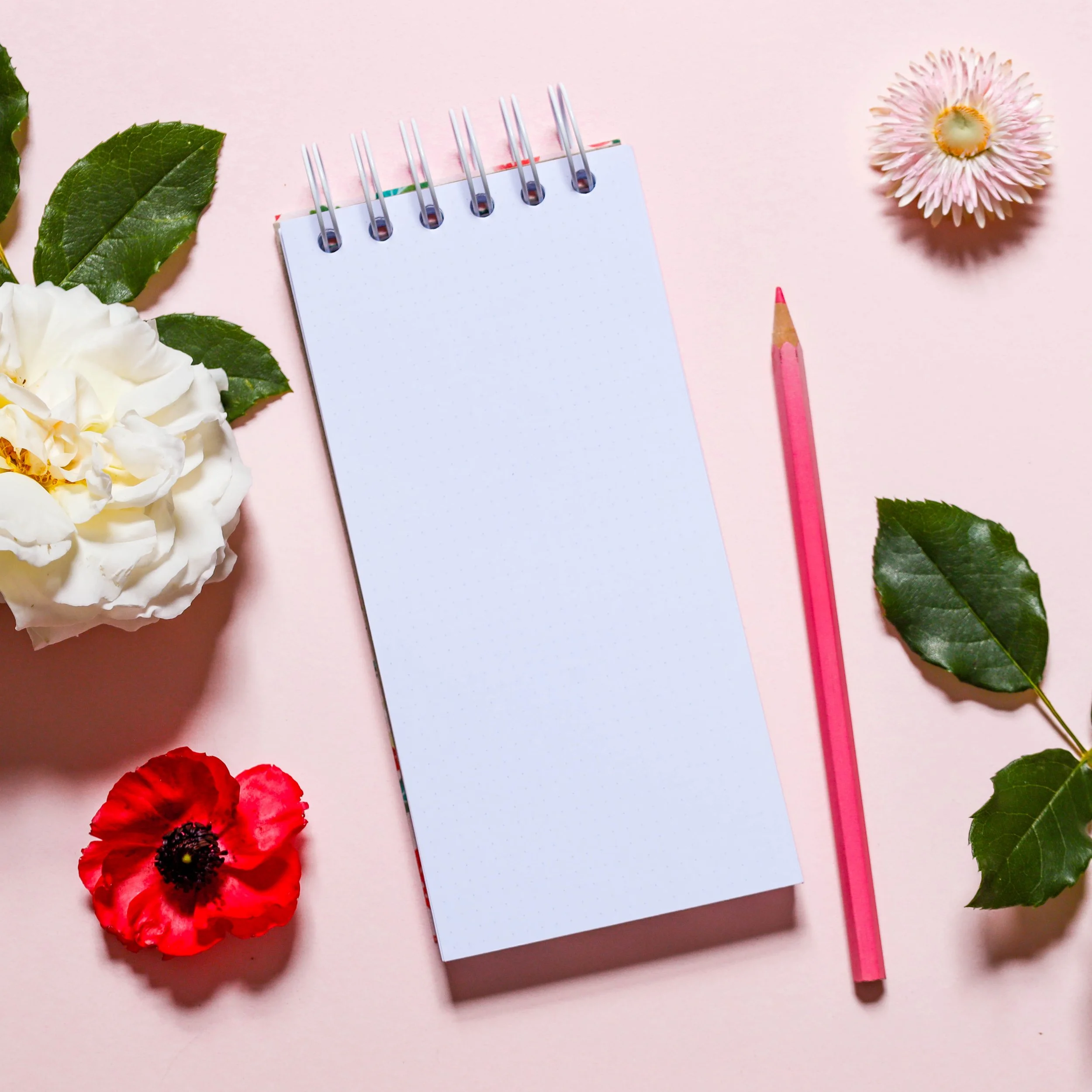 'Strawberry Shortcake' Spiral Notepad — Nancy Chalmers