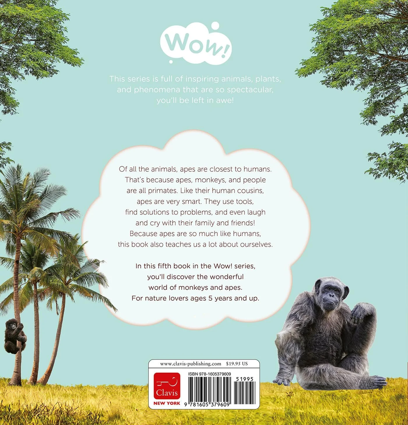 Non Fiction Books — Clavis Publishing | We Make Children's Dreams Come True