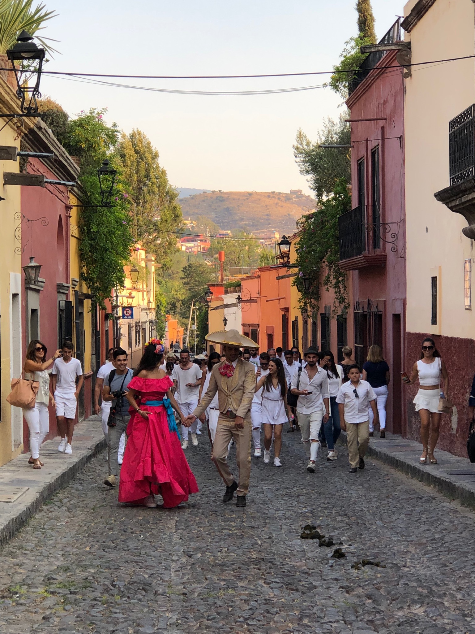 A SELECTIVE EYE — Lyon Field