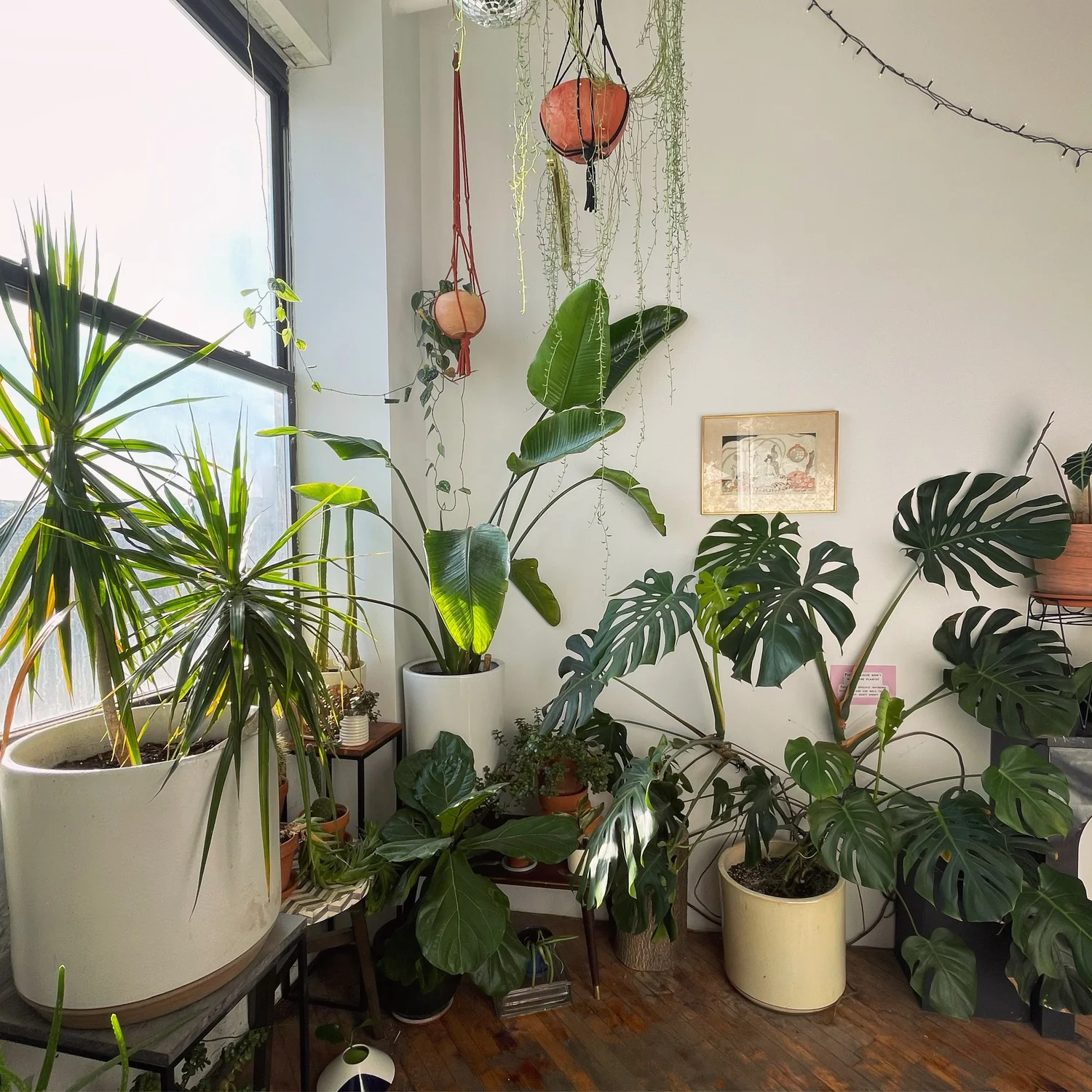 Spaces — NoLo Studios