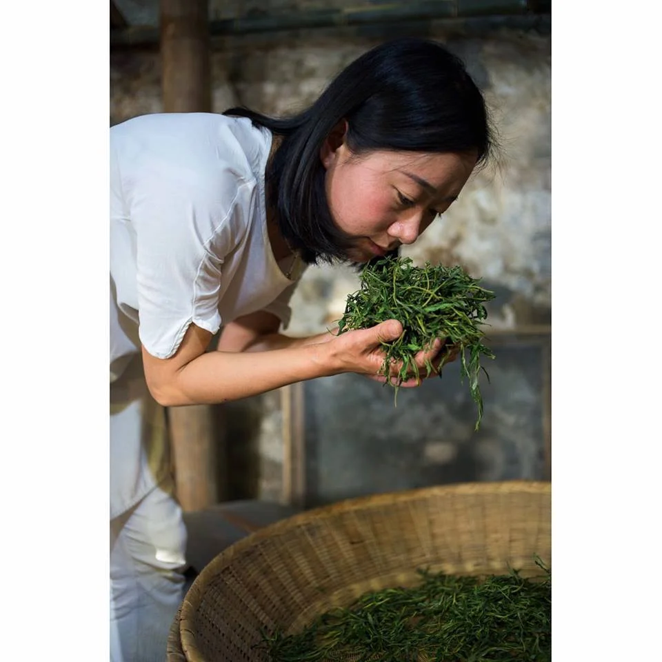 Kombucha — Casper Fermentables