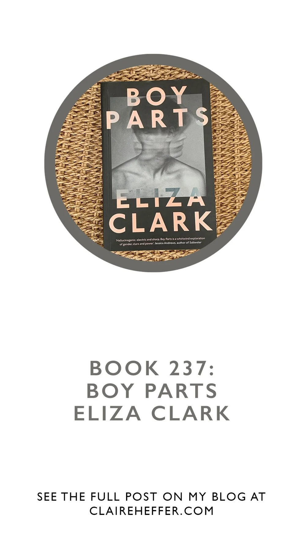 BOOK 237: BOY PARTS: ELIZA CLARK — CLAIRE HEFFER DESIGN