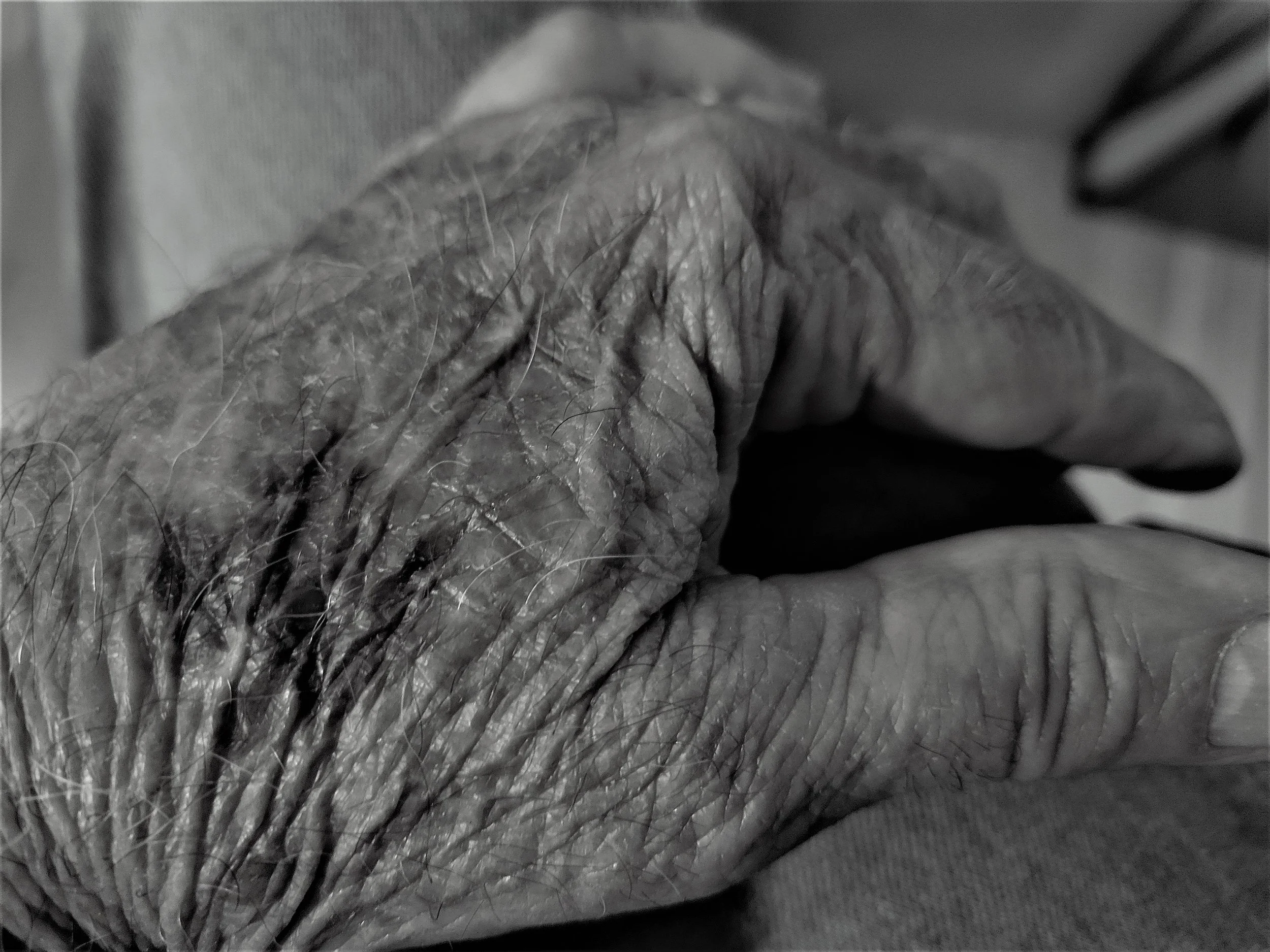 Issue #9: The Forgotten Body — Harbor Review