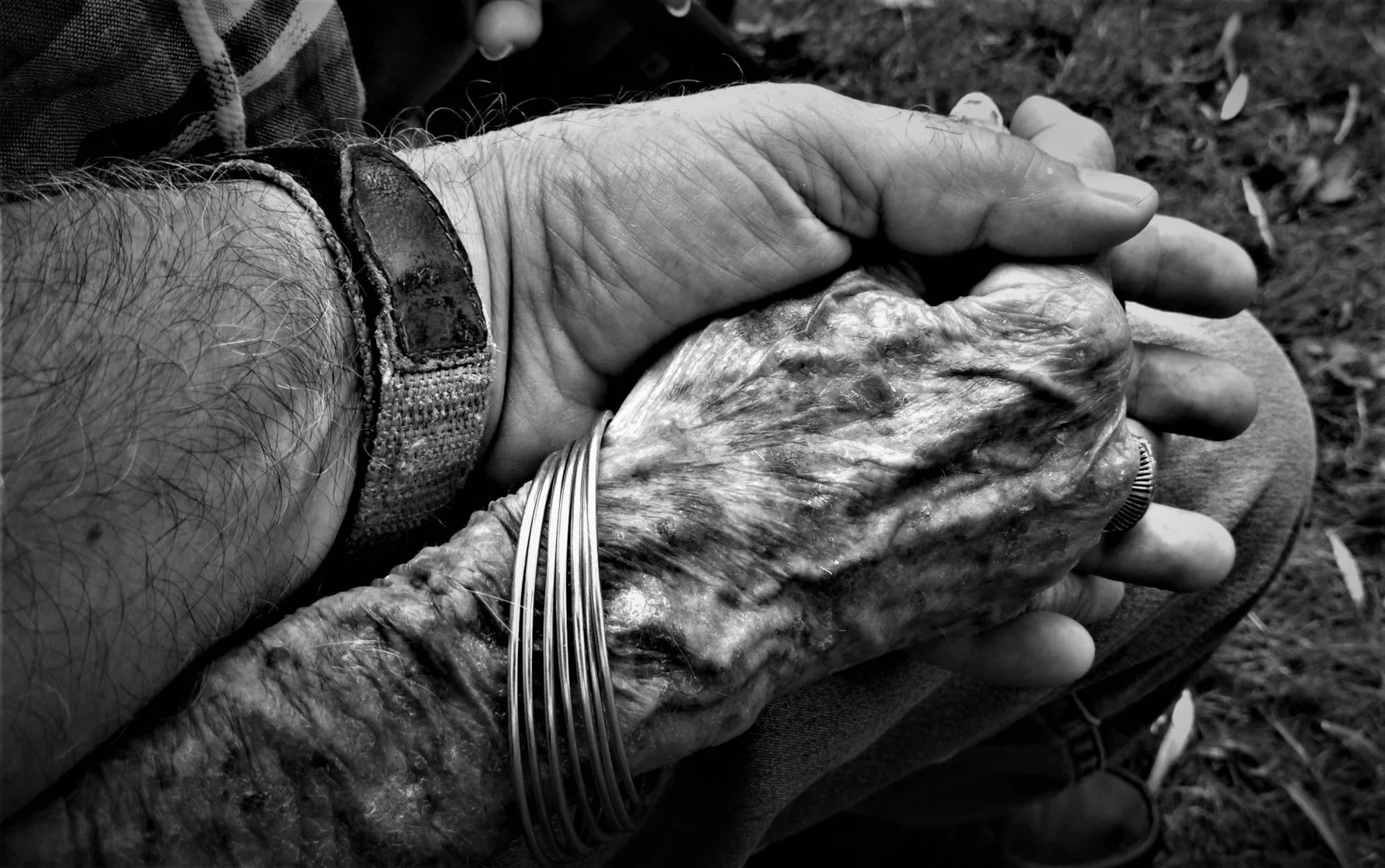 Issue #11: Merge and Divide — Harbor Review