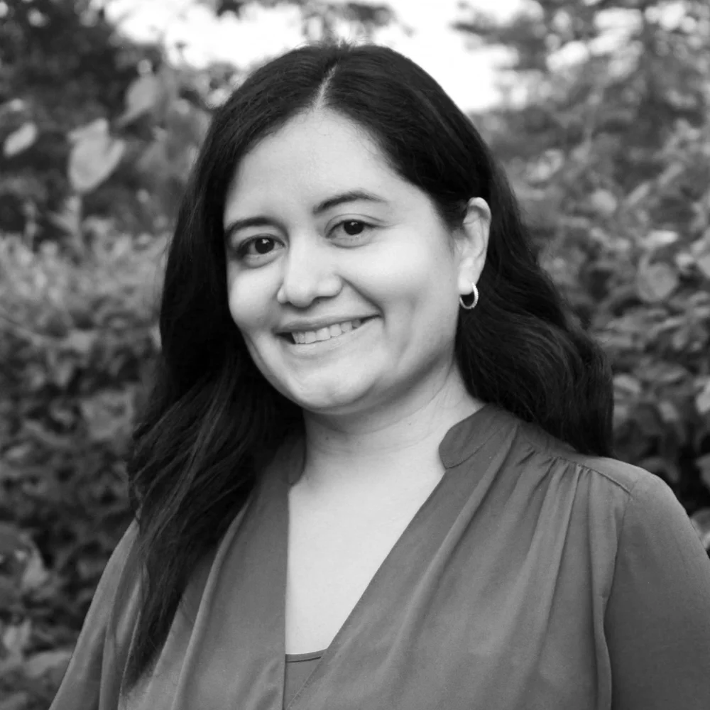 About — Harbor Review