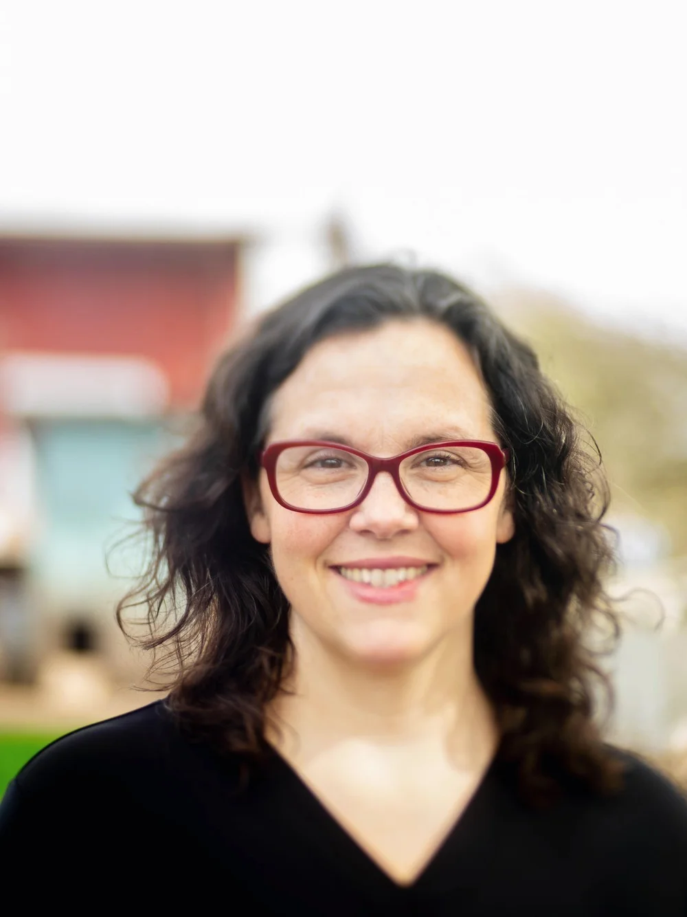 Mapping the Surreal: A Conversation with Susan Rich — Harbor Review