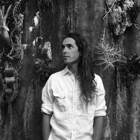 Moss, Madness, and Microcosms: Orchid Tierney & Dennis James Sweeney in ...