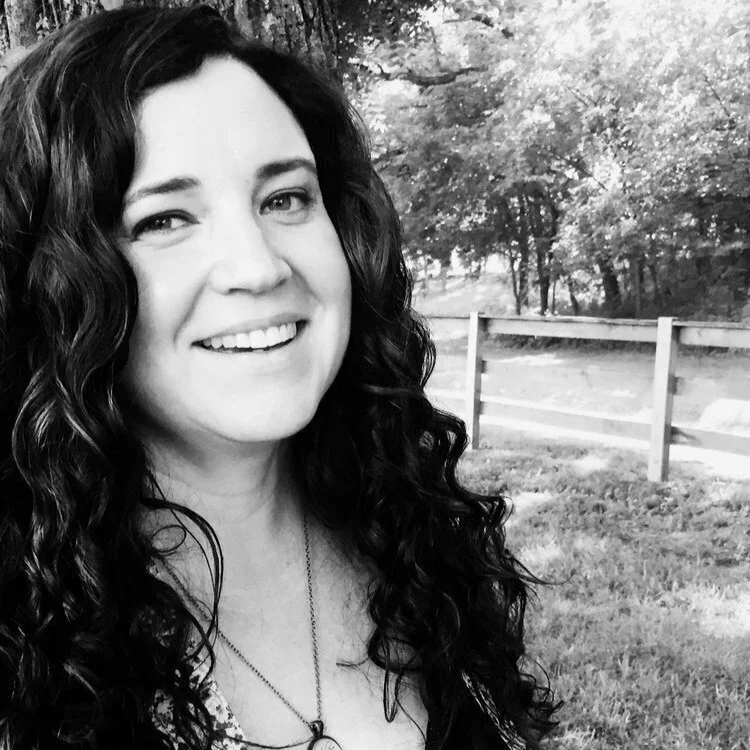 About — Harbor Review