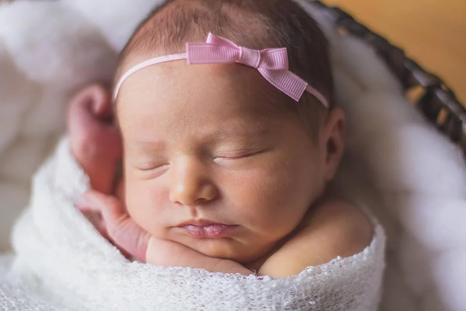 Supporting Embryo Donation — Embryo Connections