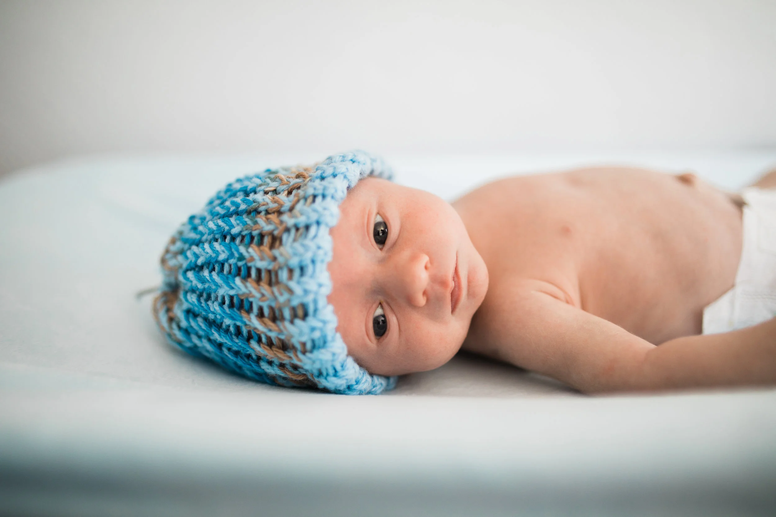Embryo Connections