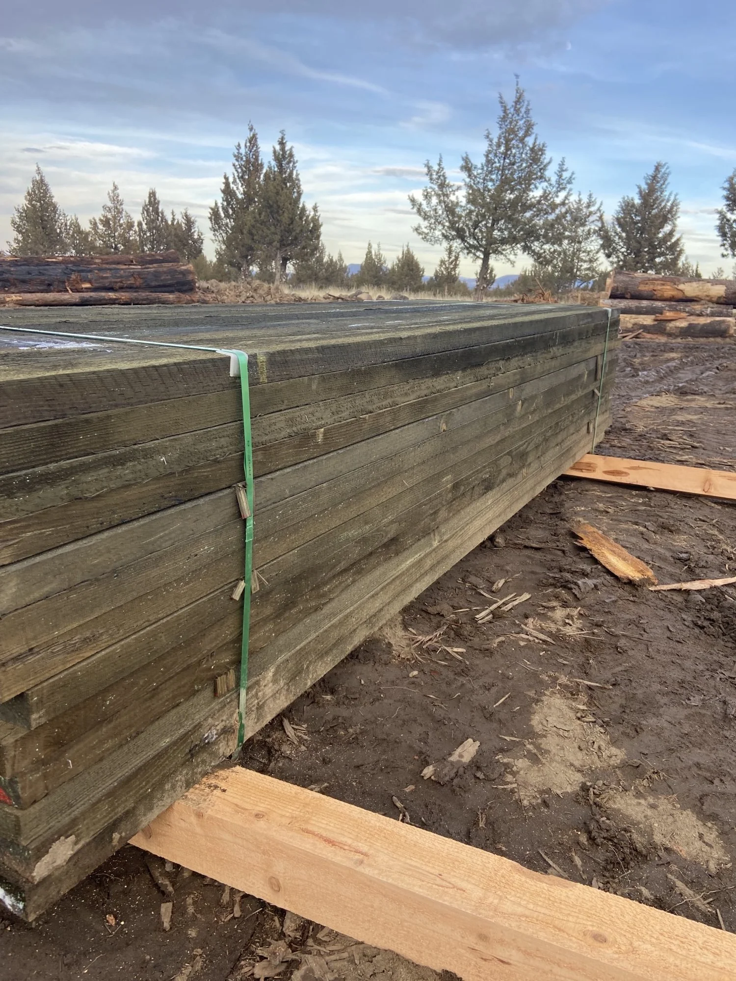 Pressure Treated Lumber — Western Rim Milling