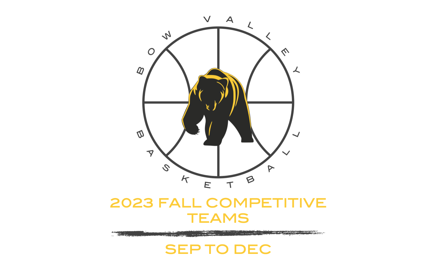 Bow Valley Basketball
