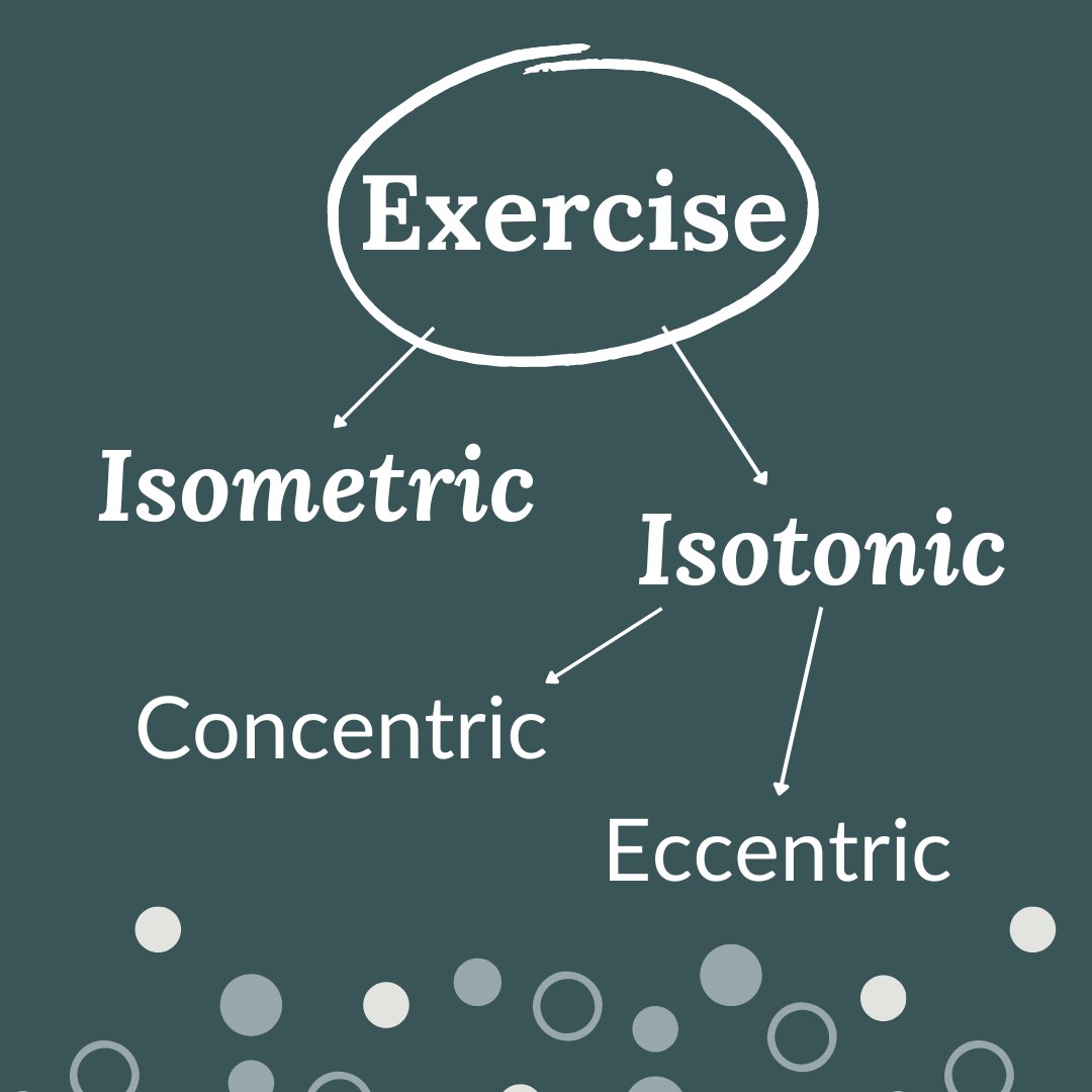 Isometric, Isotonic, Concentric, Eccentric... What Does It Even Mean ...