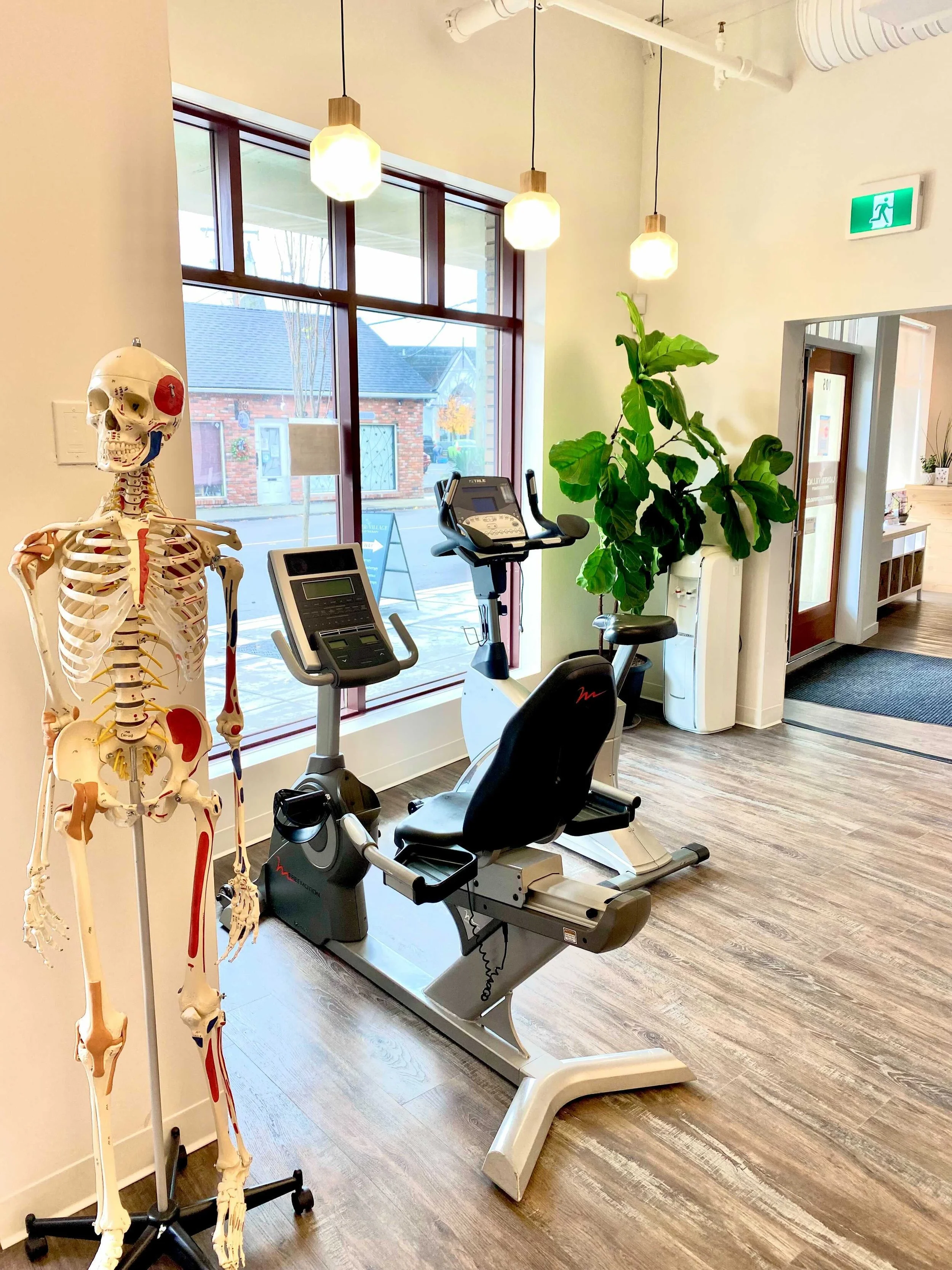 What is Kinesiology? — Ladner Village Physiotherapy | Delta BC