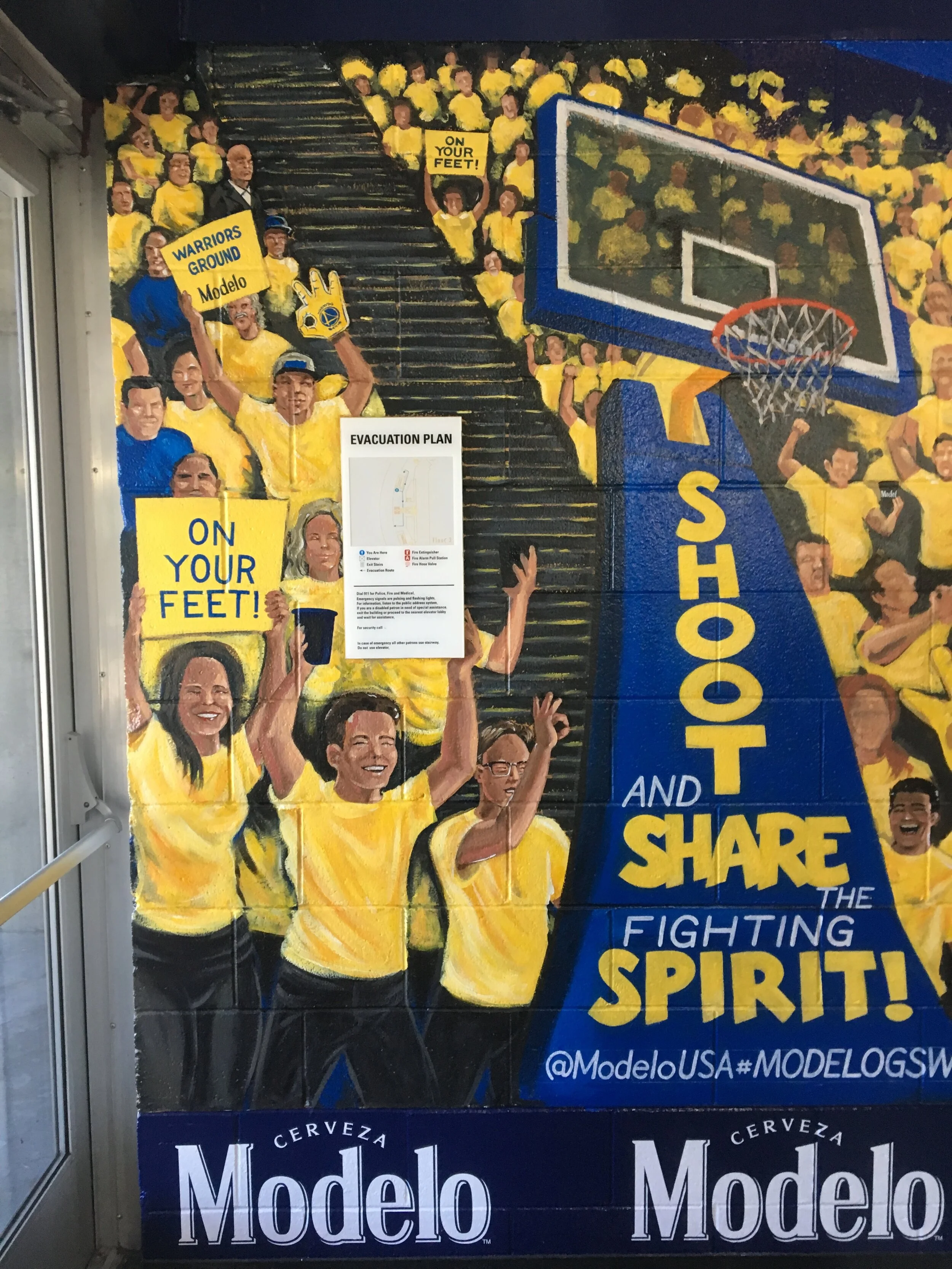 Modelo - Golden State Warriors — Megan Evans