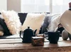 Nature Inspired Design {fire} — Holistic Home Designer