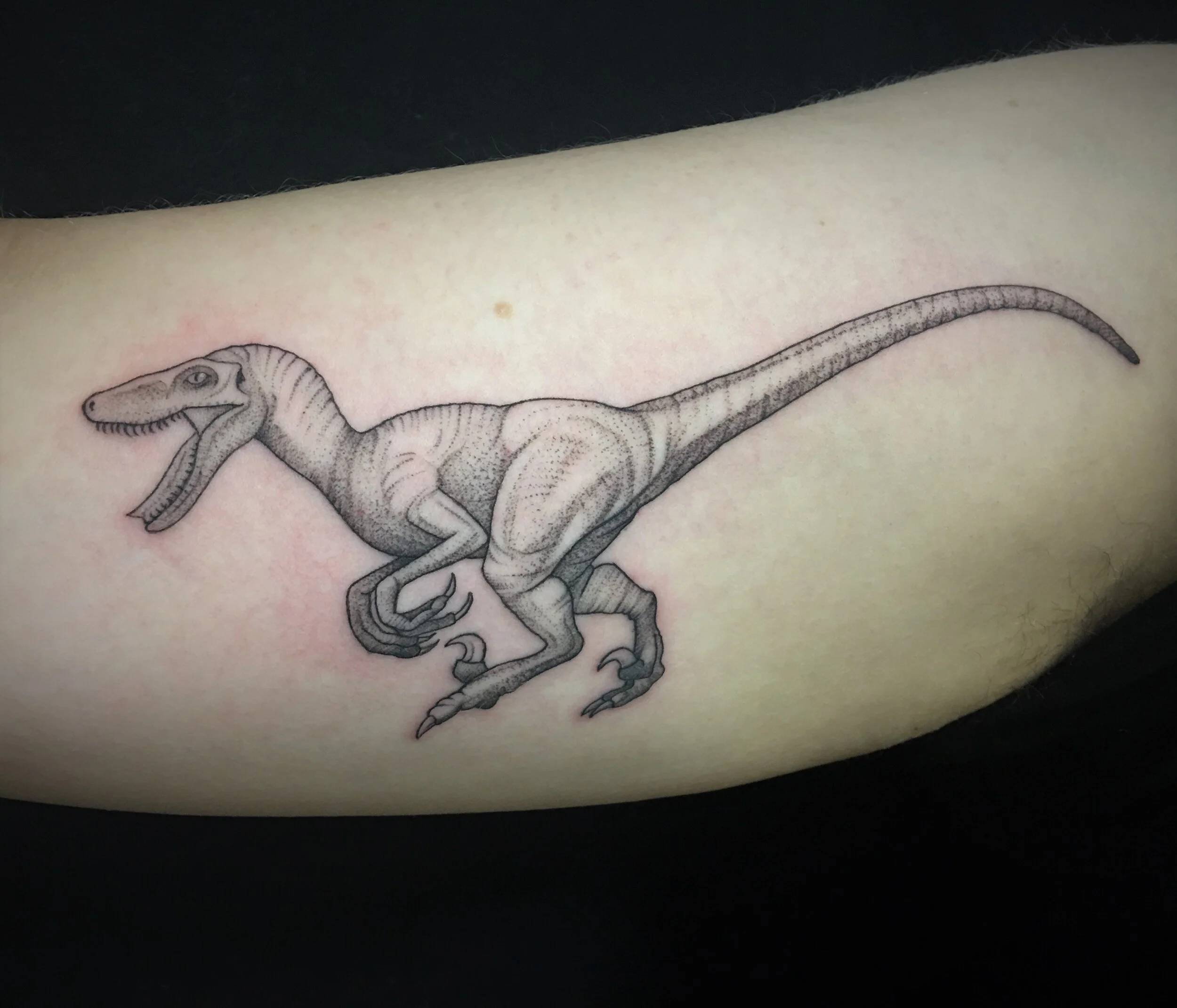 Tattoo Gallery — Sev Tattoos