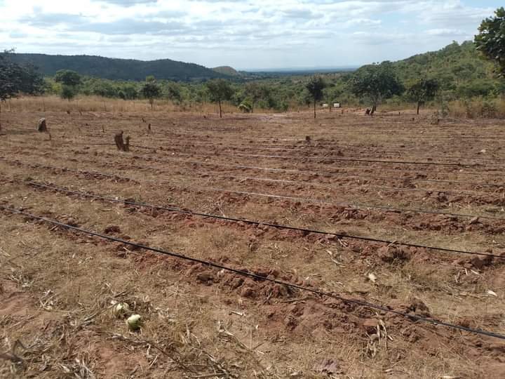 mumba-project — Grace Notes - Valley Vegas Church