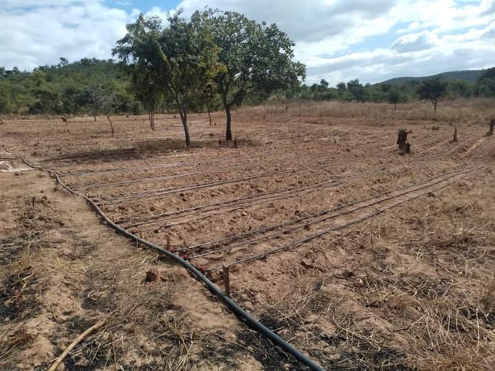 mumba-project — Grace Notes - Valley Vegas Church