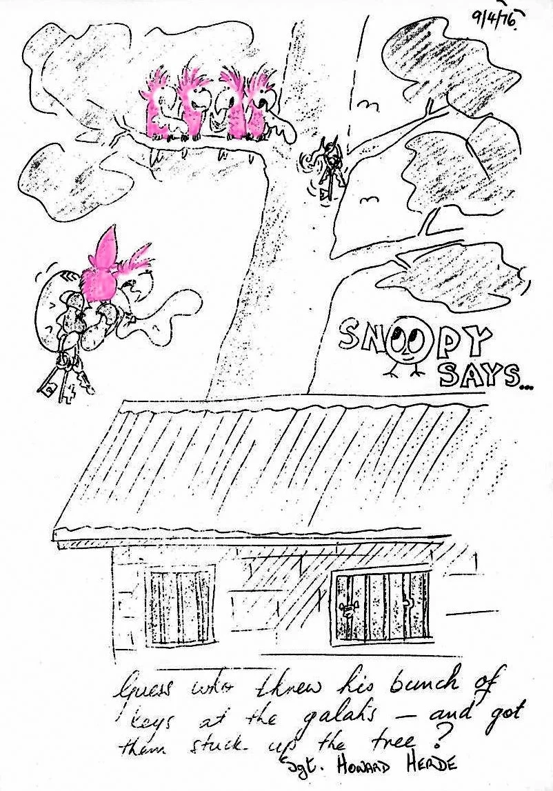 Leigh Creek - Old Town Project