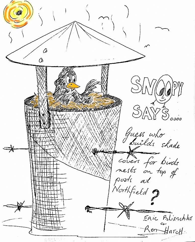 Leigh Creek - Old Town Project