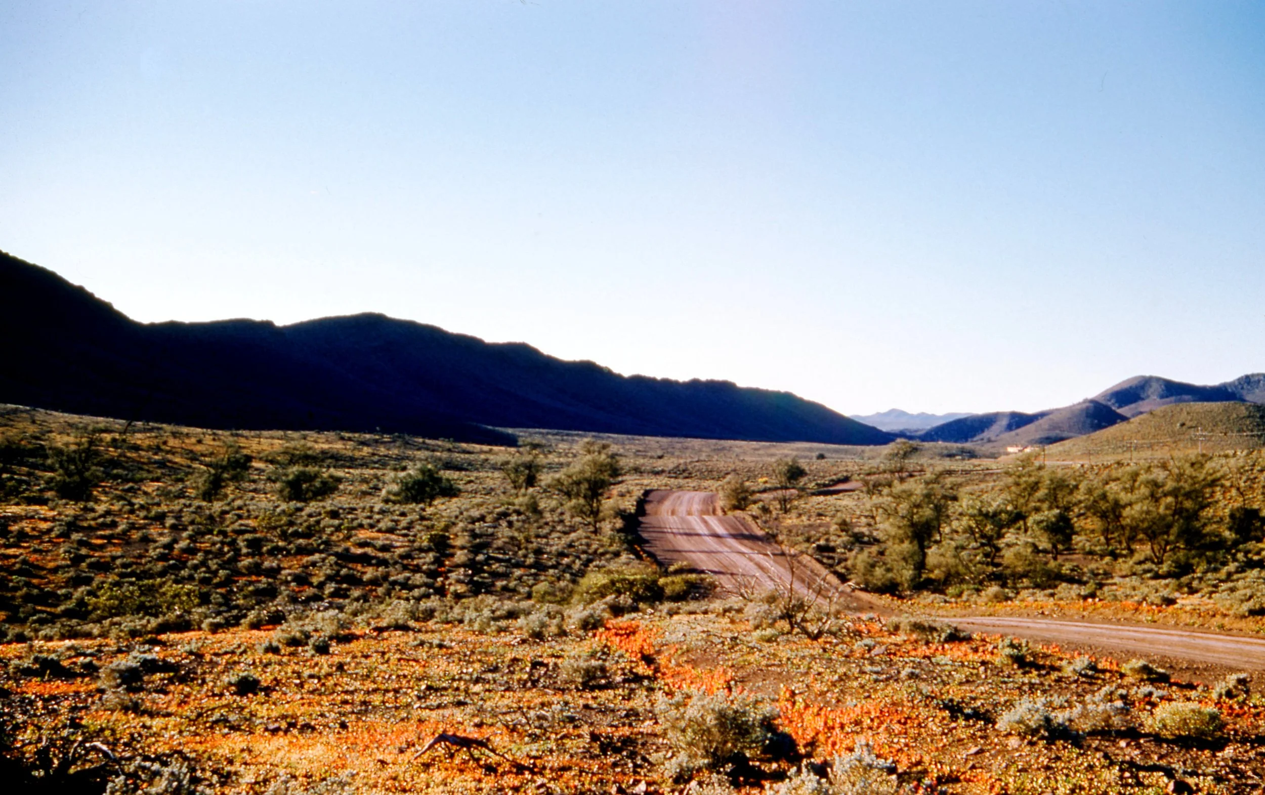 Leigh Creek - Old Town Project
