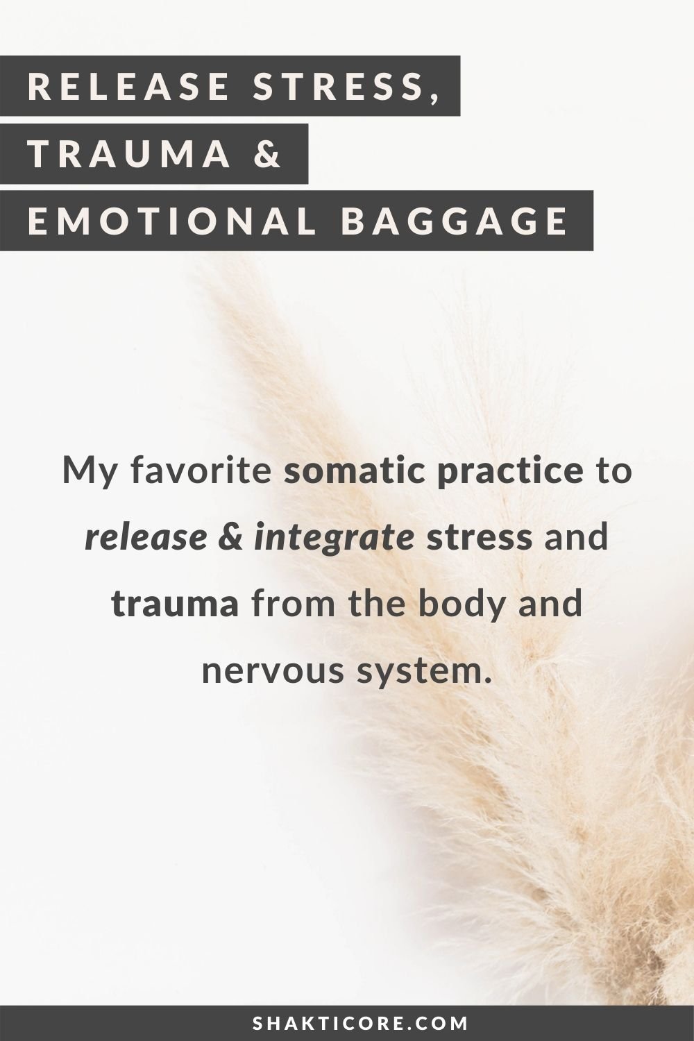 TRE (Trauma Release Exercises) Releasing Stress, Trauma, and Emotional ...