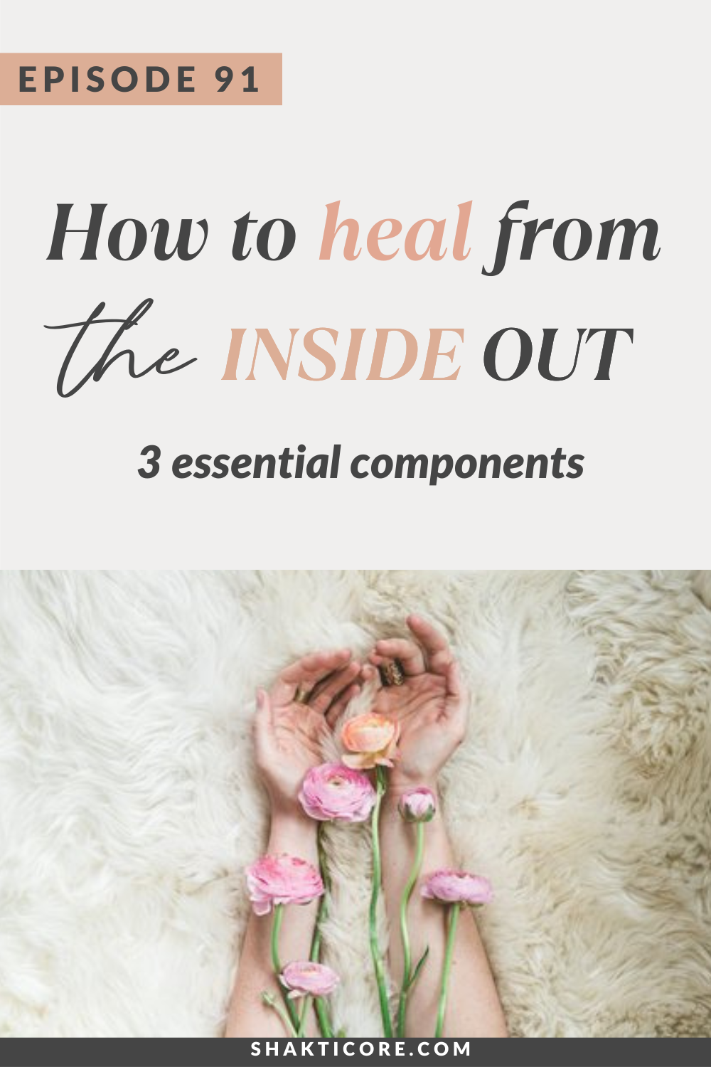 Healing From the Inside Out With Susanne Kooijman — Shakti Core