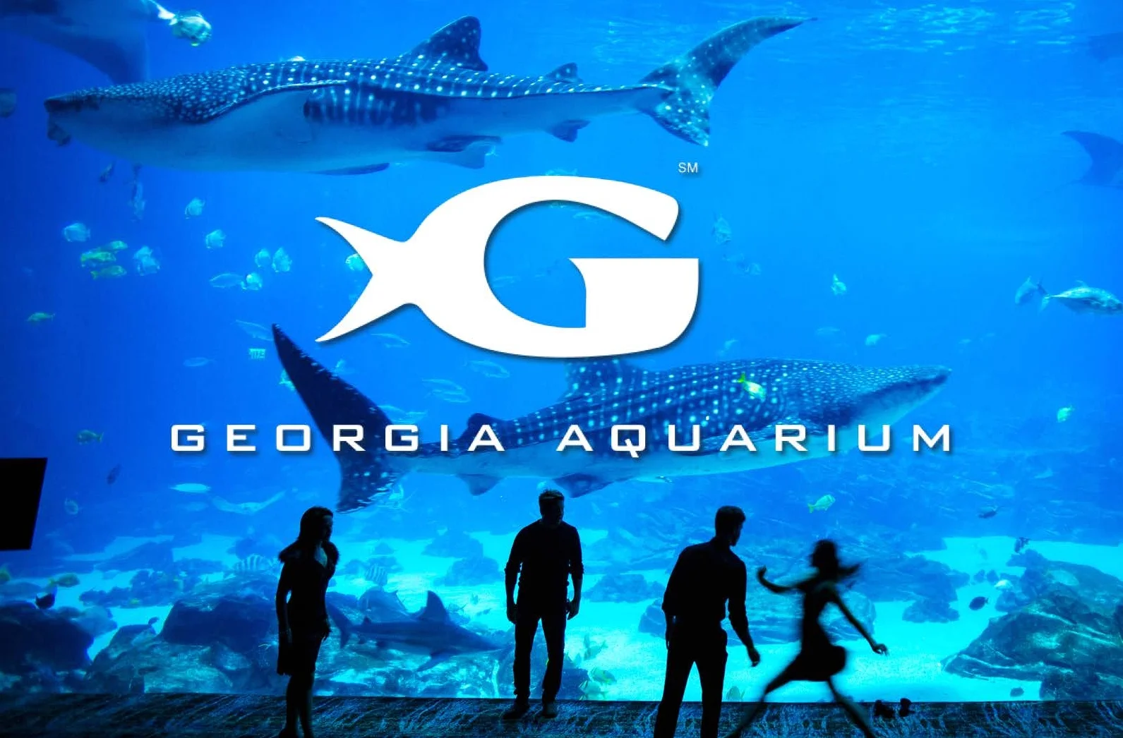 Georgia Aquarium Logo