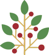 shop — Huckleberry Woman