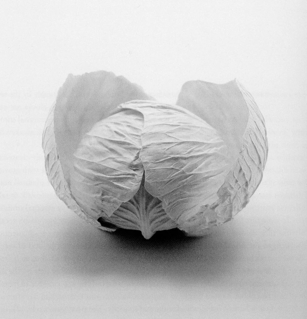 Writing — Robin Mitchell Cranfield