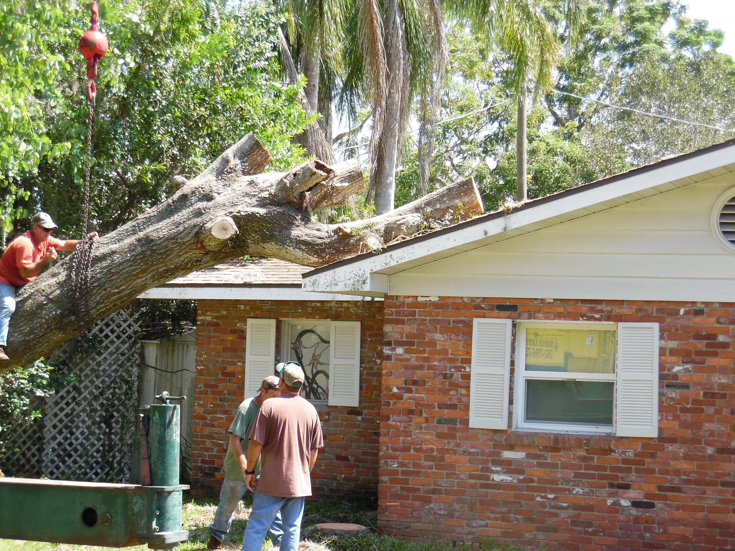 Homeowners Insurance & Wind Damage