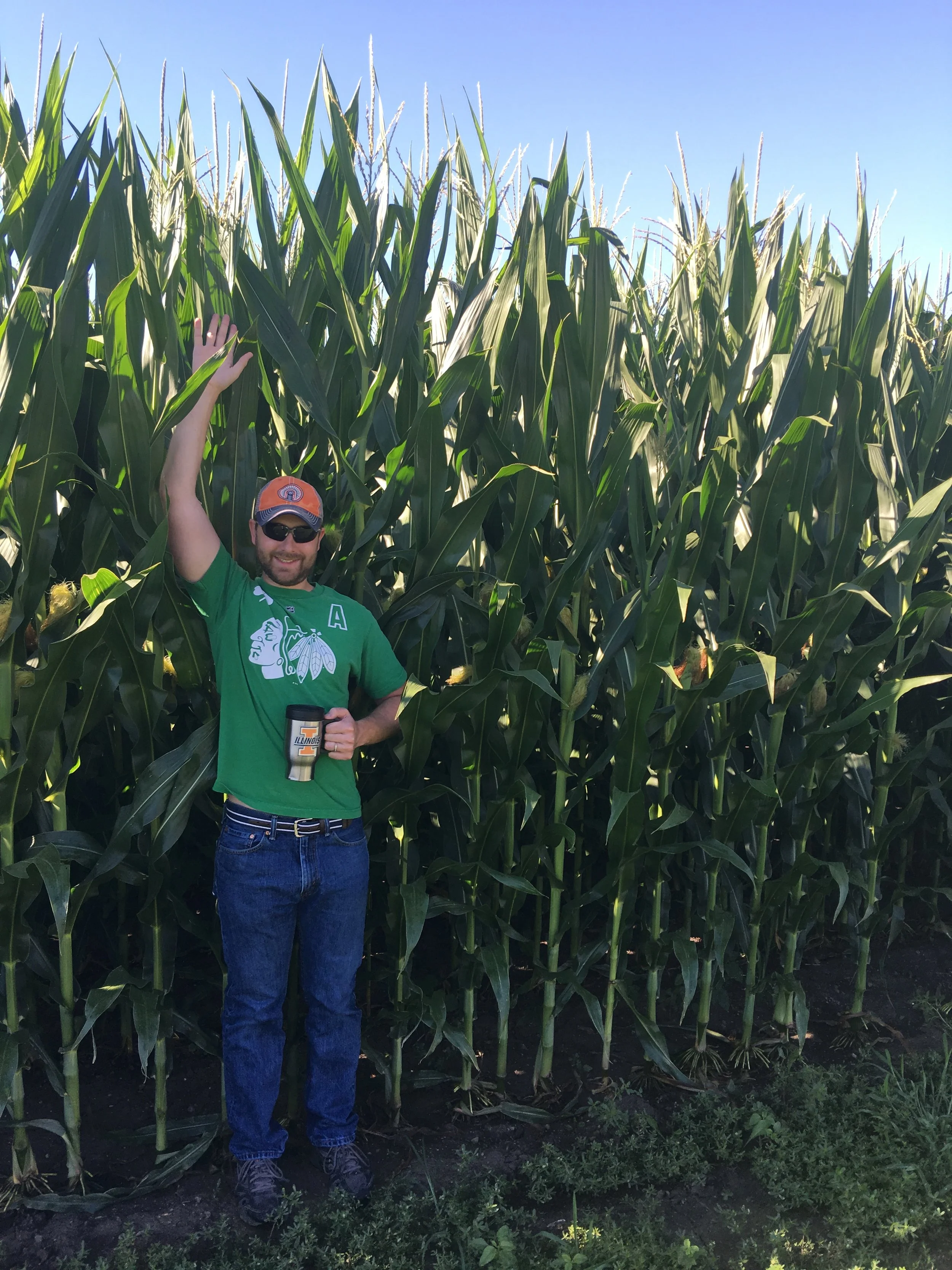 Crops gallery — Larson Farms