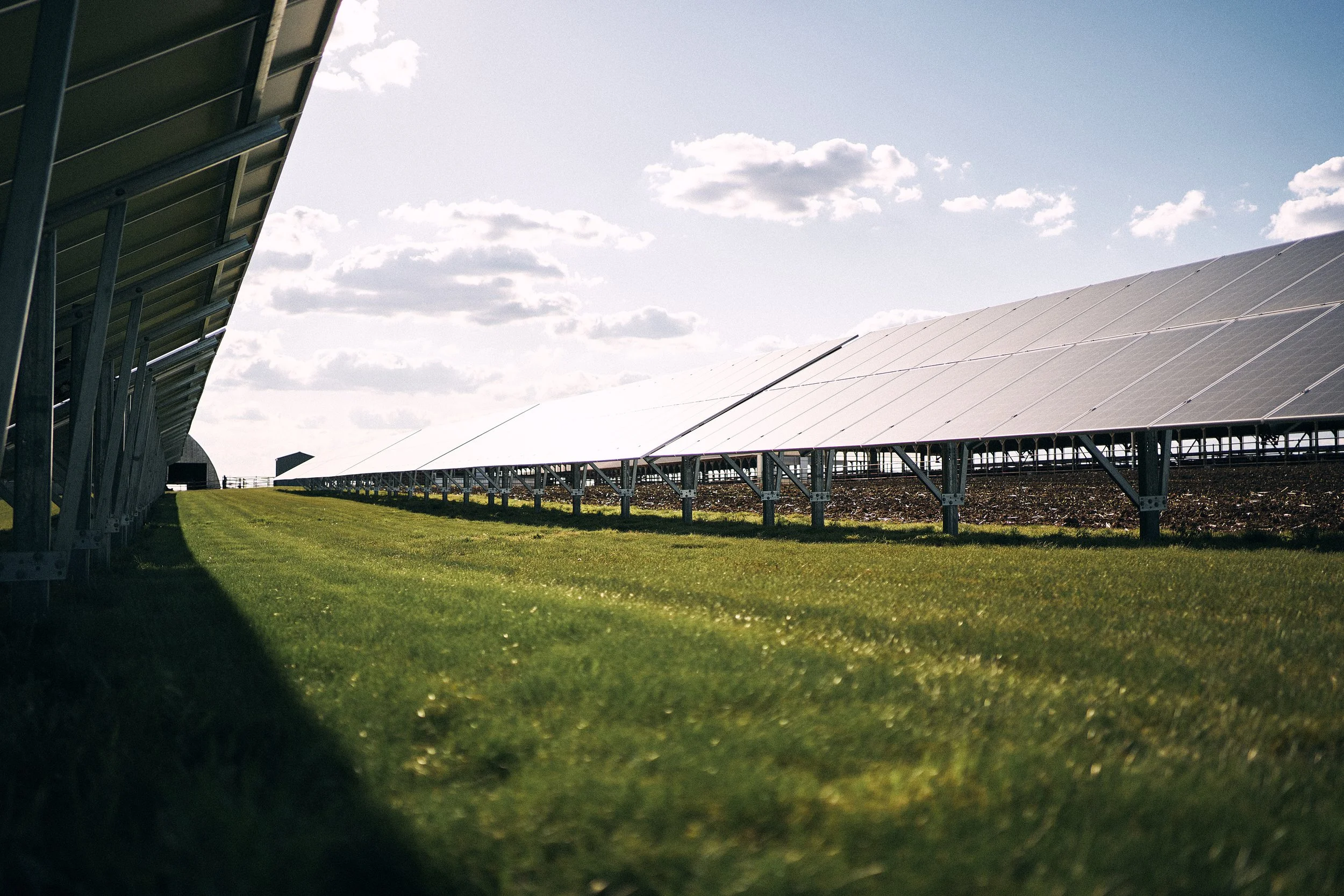 Farmstead gallery — Larson Farms