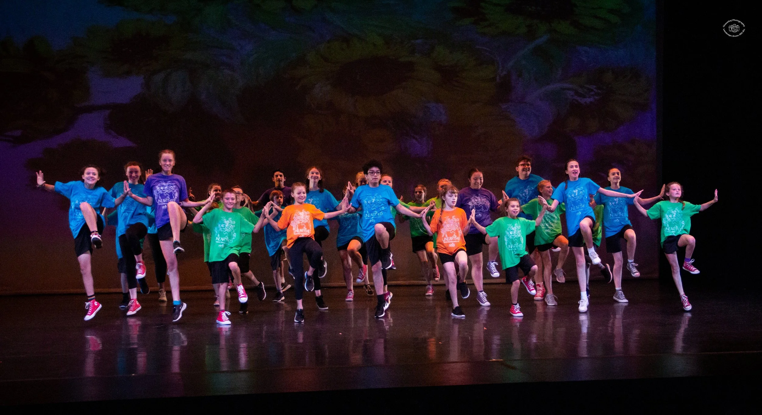 Summer Intensive — New Hampshire Dance Institute