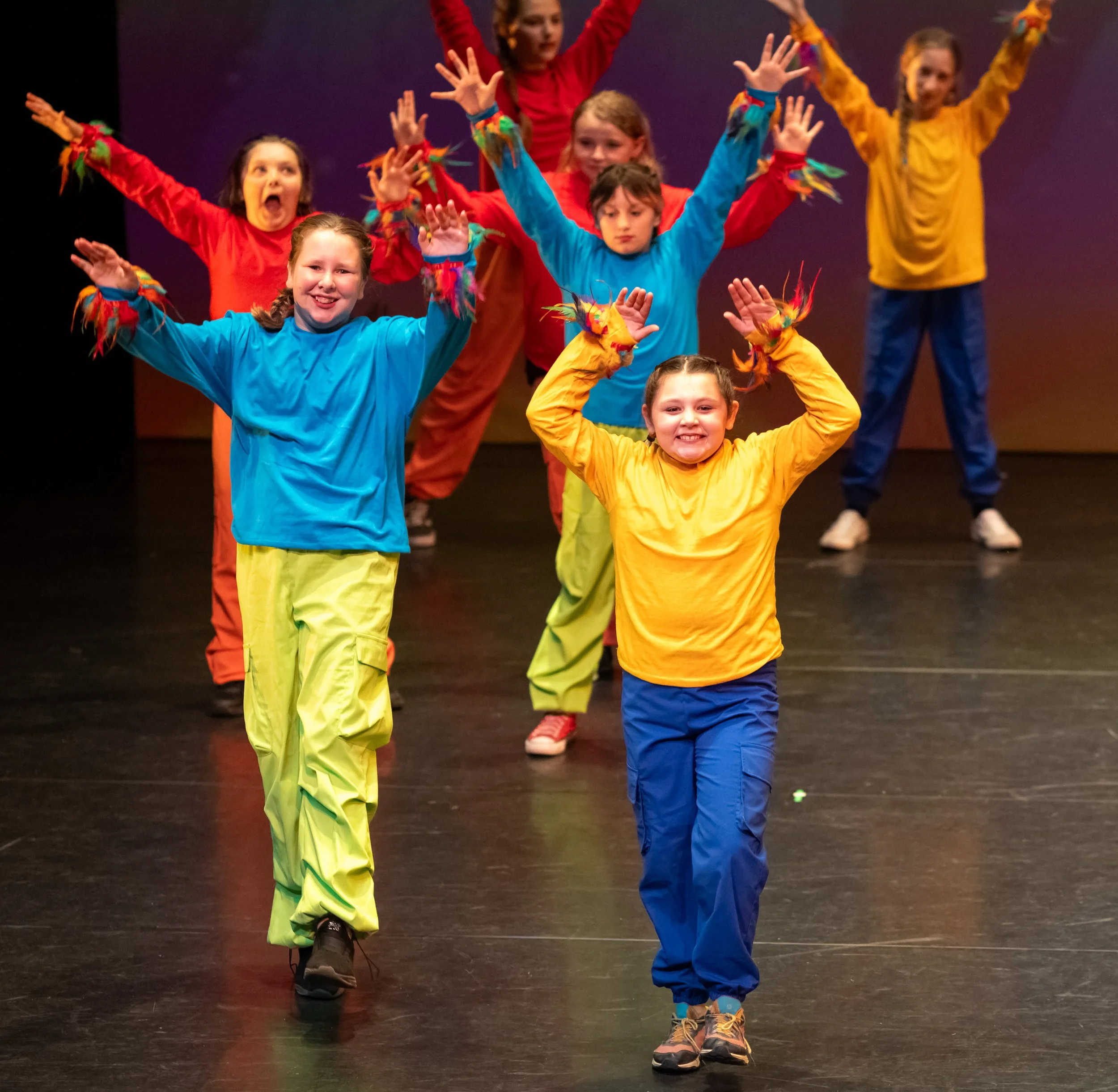 Mission — New Hampshire Dance Institute