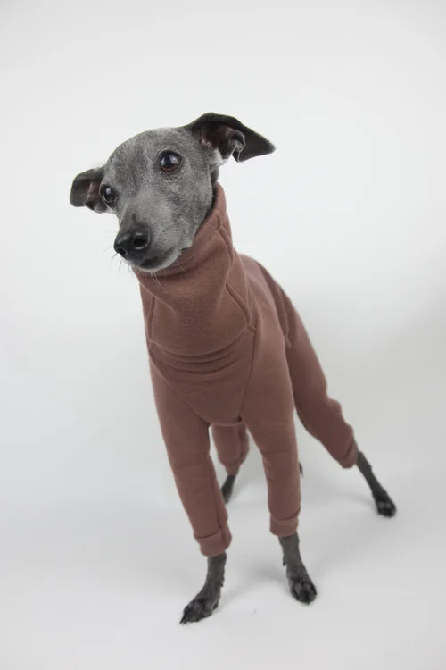 Shop Online — Jute & Sable | Luxury Italian Greyhound & Whippet ...