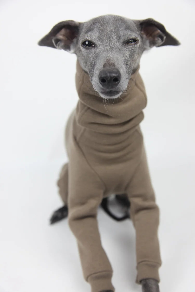 Shop Online — Jute & Sable | Luxury Italian Greyhound & Whippet ...