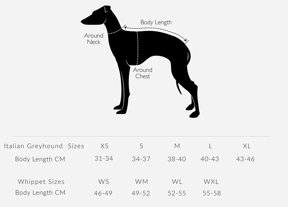 Whippet Dimensions Drawings, 47% OFF | www.pinnaxis.com